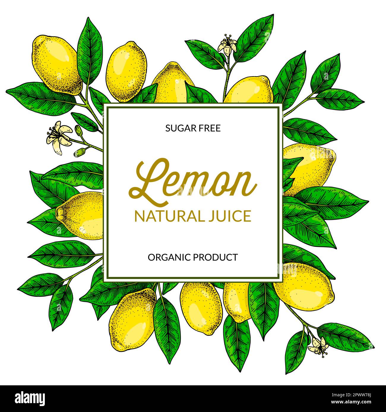 Square lemon frame. Hand drawn colorful vector illustration in sketch ...