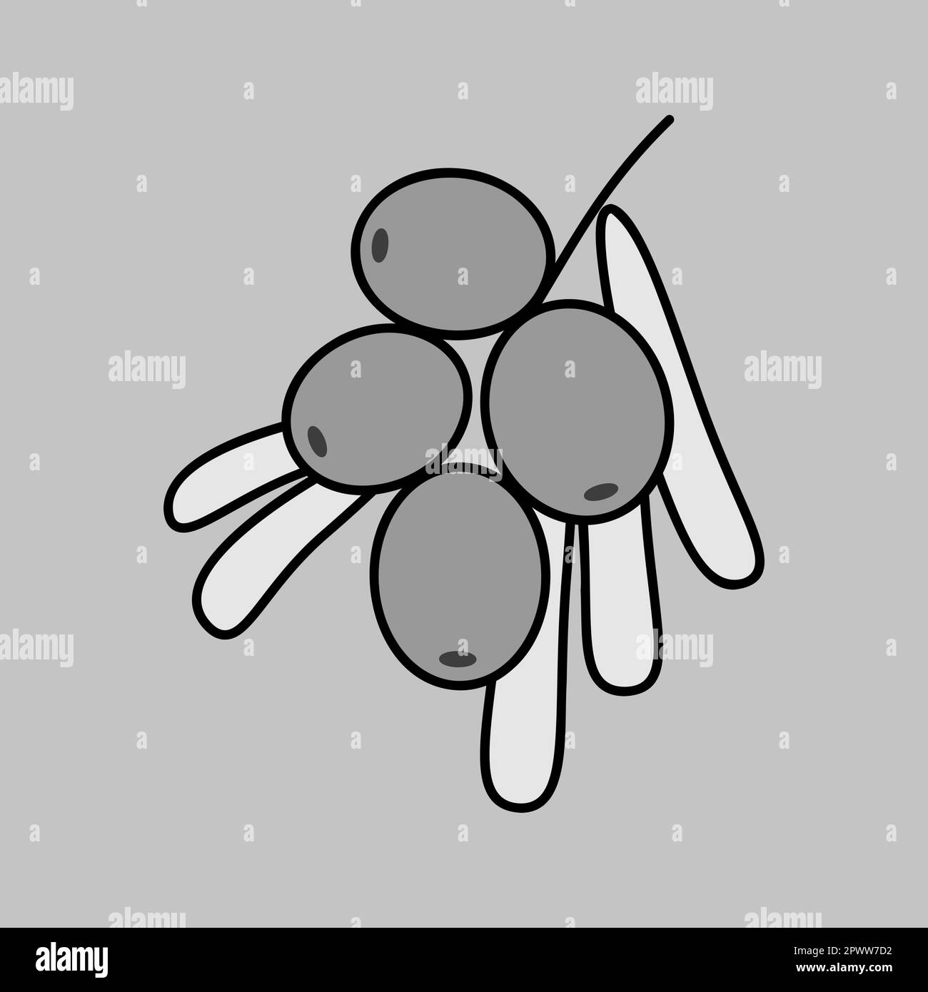 Sea buckthorn berry vector grayscale icon. Graph symbol for food and ...