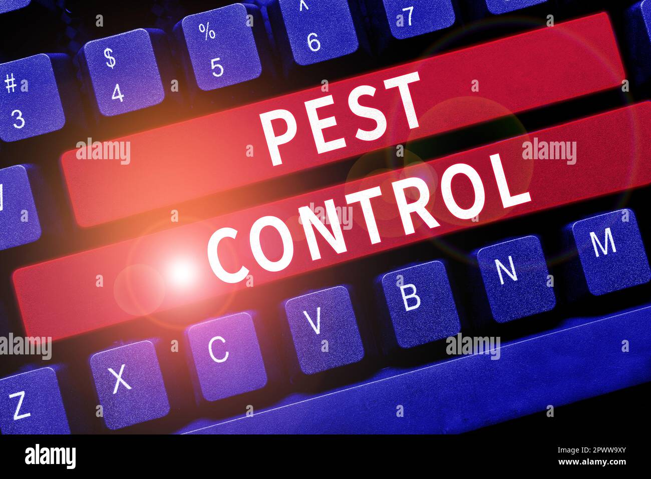 Writing displaying text Pest Control, Word Written on Killing ...