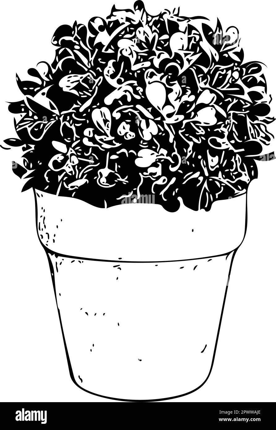 Boxwood Stock Vector Images - Alamy