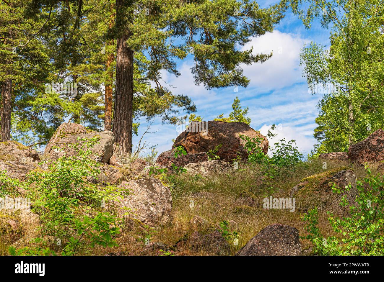 Landscape with rocks and trees near Figeholm in Sweden Stock Photo - Alamy