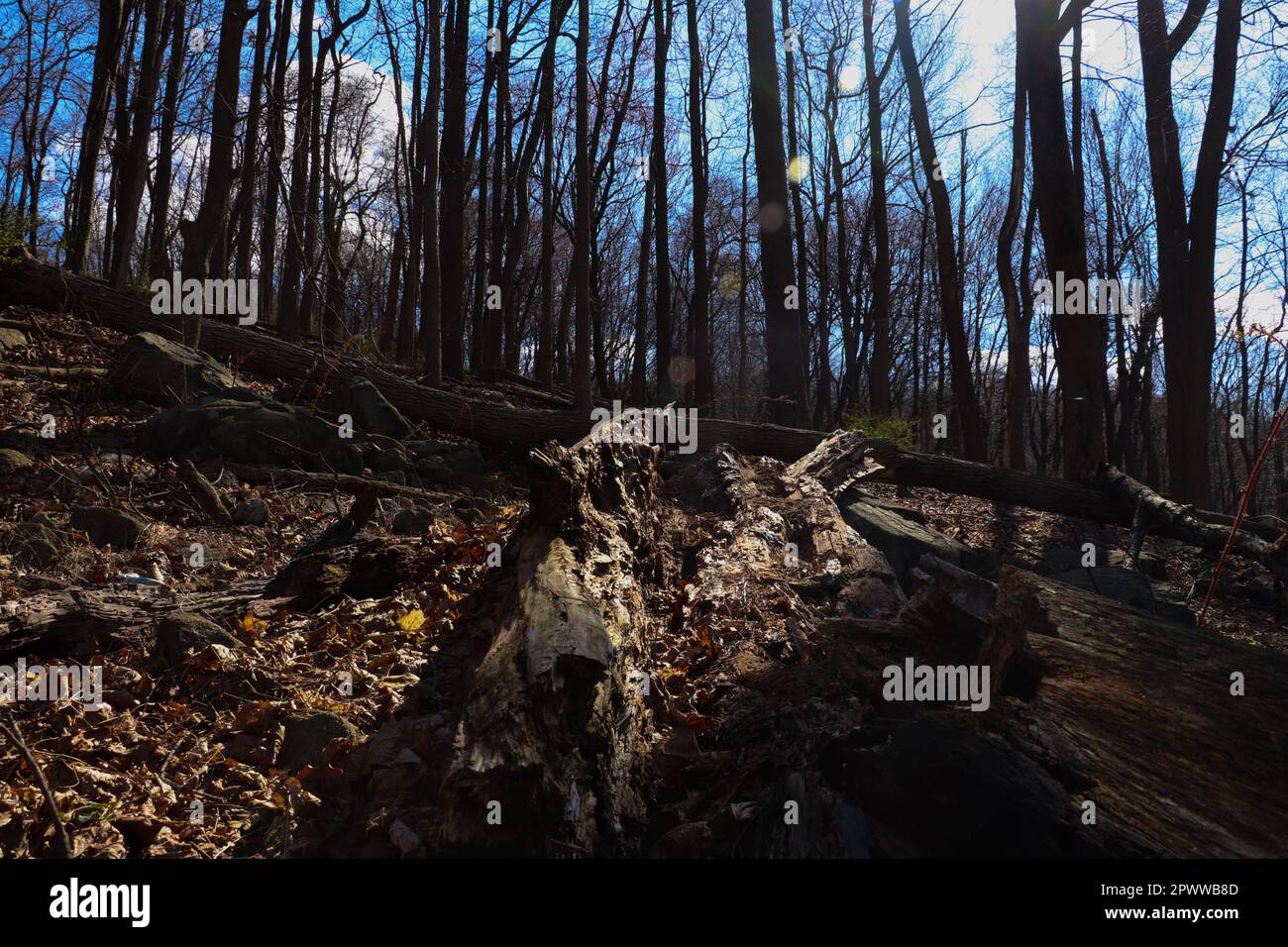 Lehigh university hi-res stock photography and images - Alamy