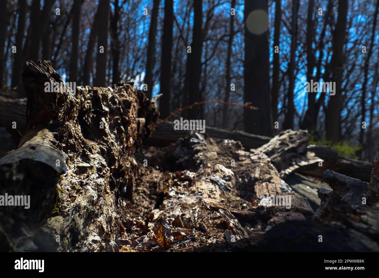 Lehigh university hi-res stock photography and images - Alamy