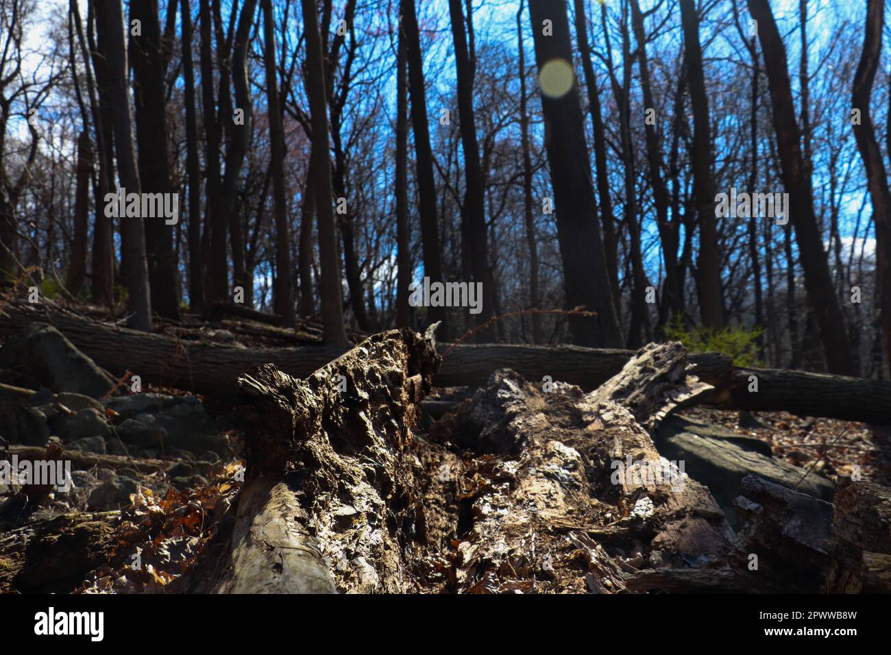 Lehigh university hi-res stock photography and images - Alamy