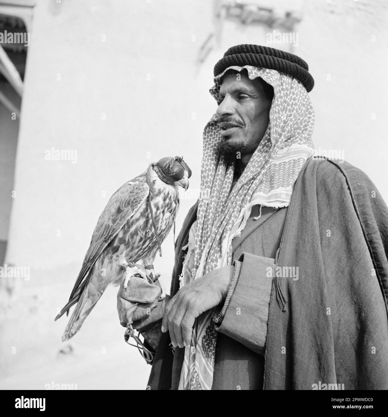 Falcon tamer at Diriyah, Riyadh, Saudi Arabia, 1952 Stock Photo - Alamy