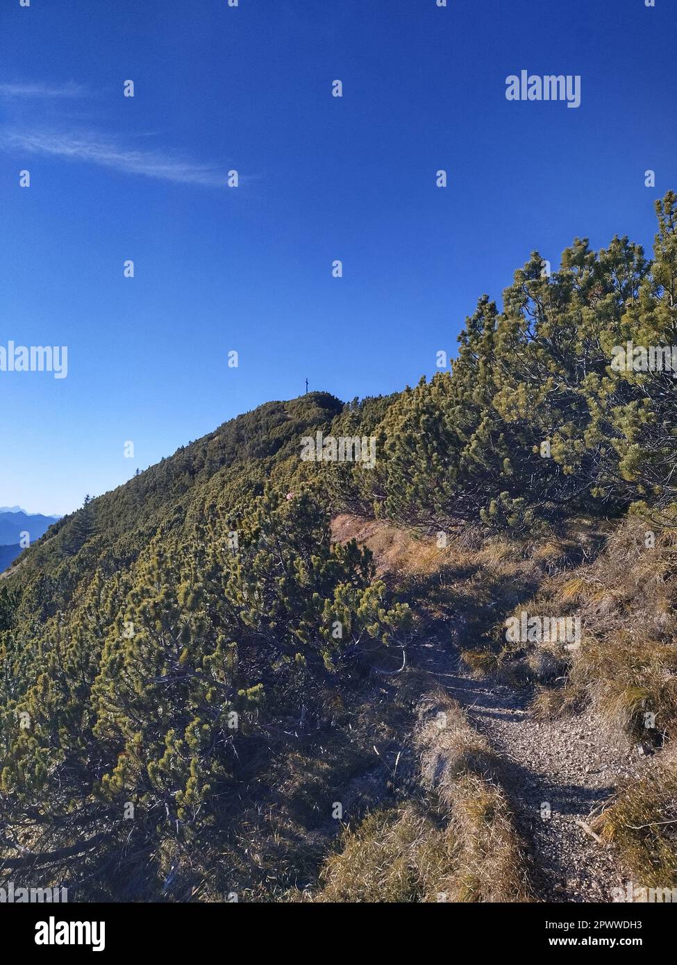 Schinder - a bavarian mountain Stock Photo - Alamy