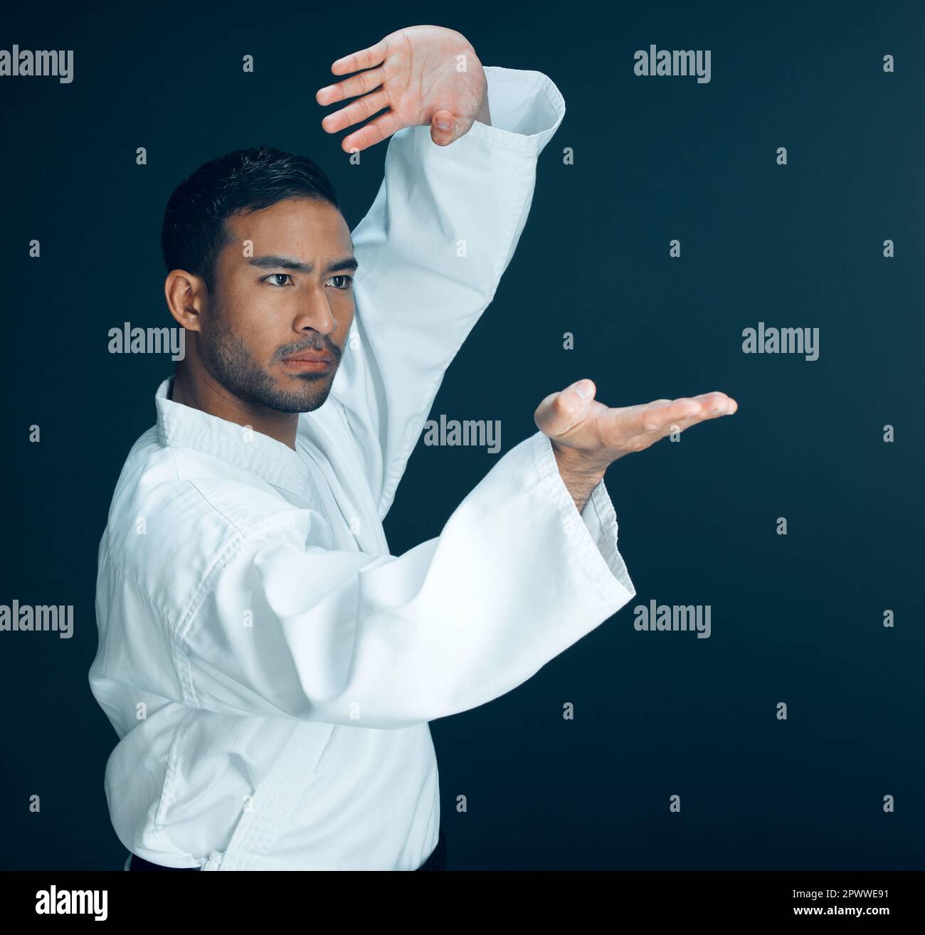 Mastering the art of self defense. a handsome young male martial artist ... Mastering the art of self defense. a handsome young male martial artist ...