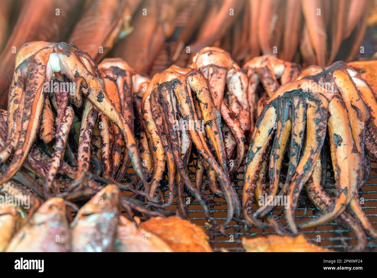 Squid are smoked with other fish in a smokehouse. Fishing season Stock ...