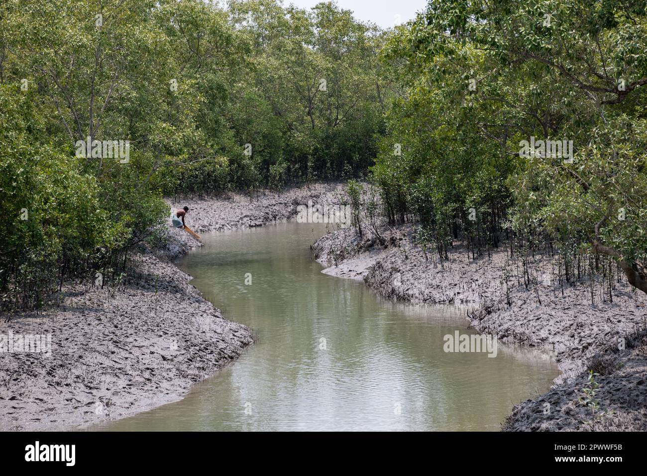 Till now several rural villages in Sundarban (in West Bengal) prone to ...