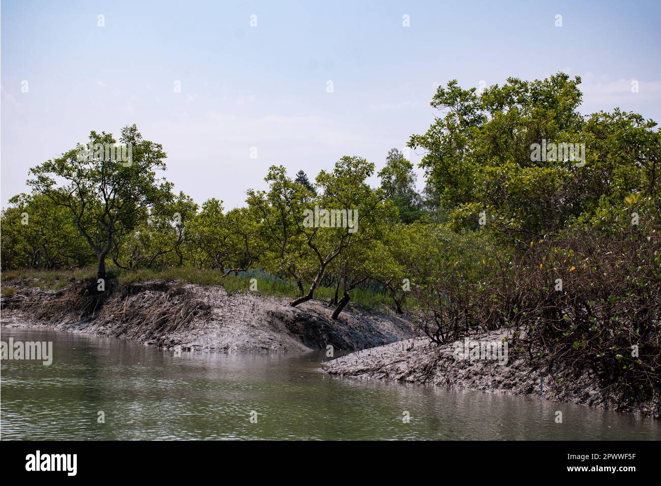 Till now several rural villages in Sundarban (in West Bengal) prone to ...