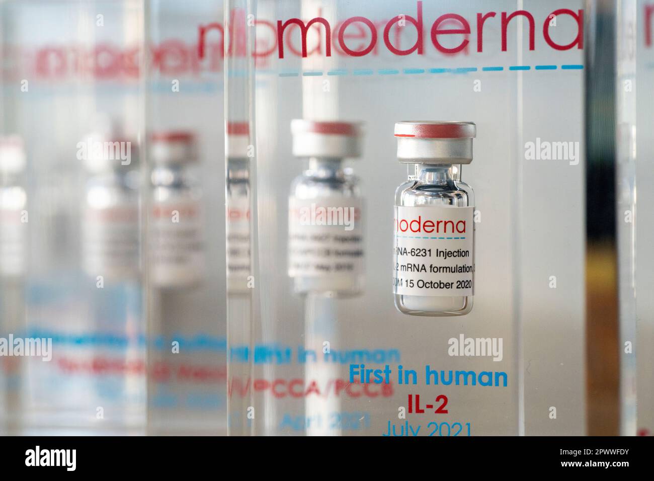 Cambridge, Massachusetts, USA. 14th Nov, 2022. Seen in his office ...