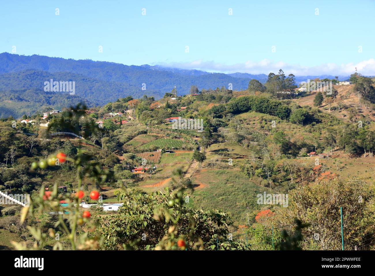 the Landscape near in Paraiso around Orosi Valley near the city of ...