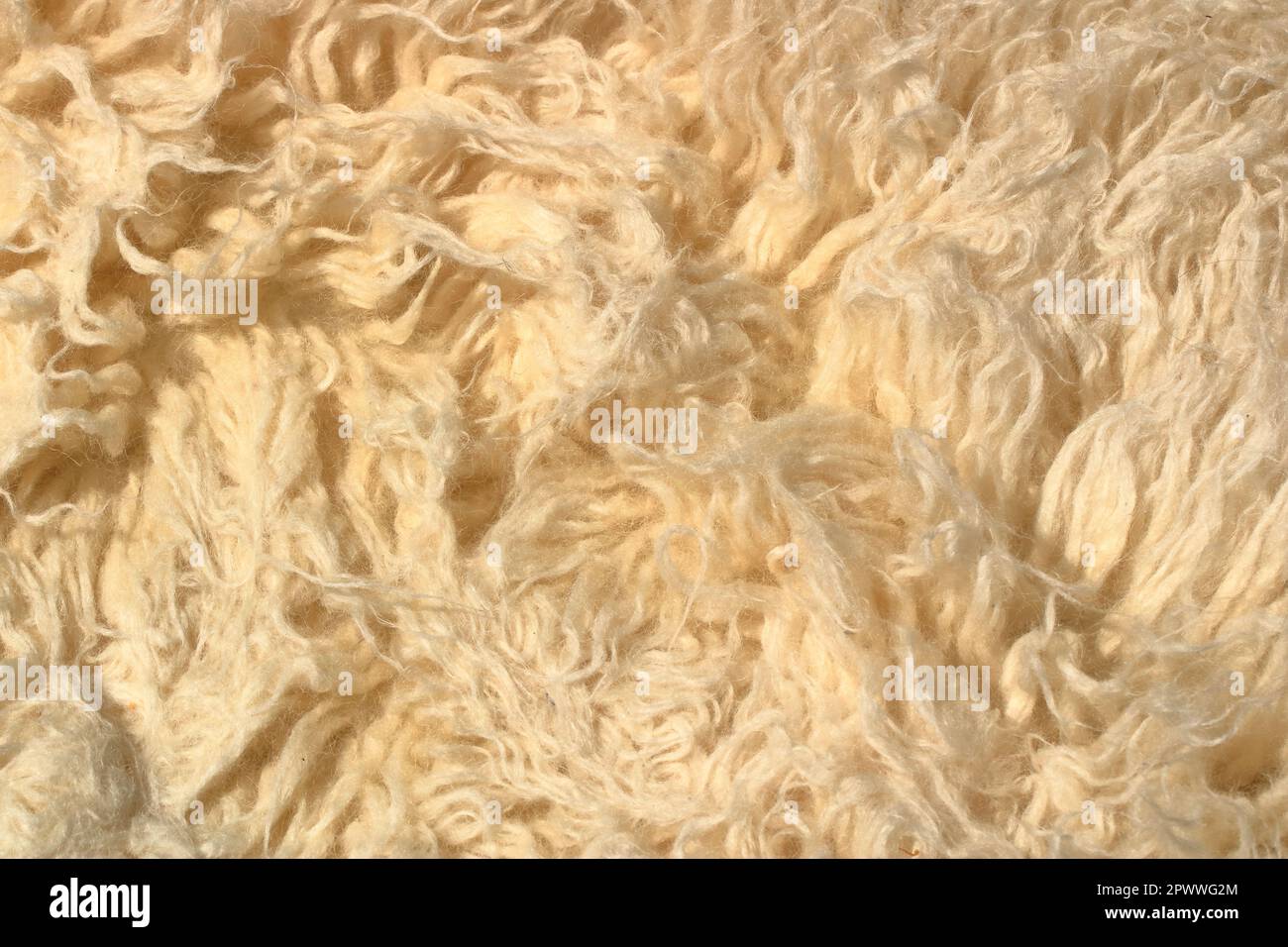 Luxurious wool texture from white sheepskin rug Stock Photo - Alamy
