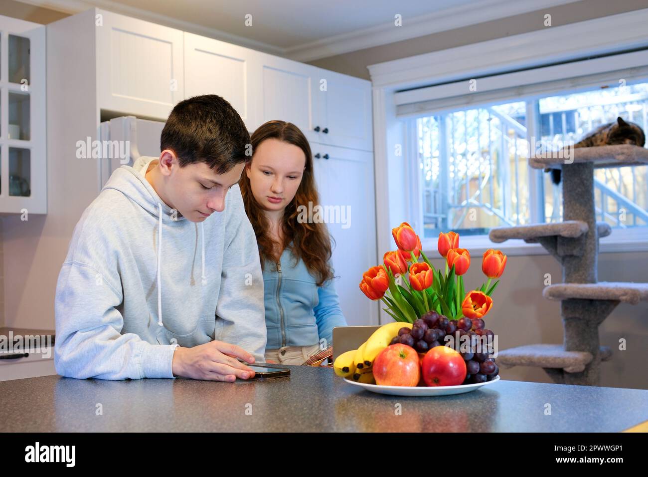 boy asked girl out on date In kitchen flowers grapes apples bananas he ...
