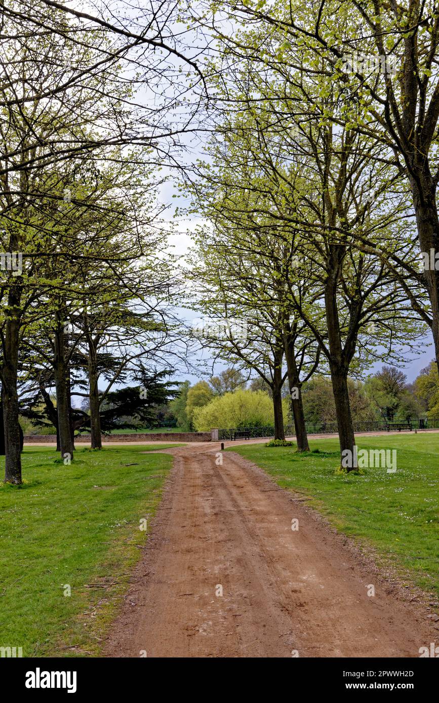 Beautiful spring landscape - Spring view over public park countryside ...