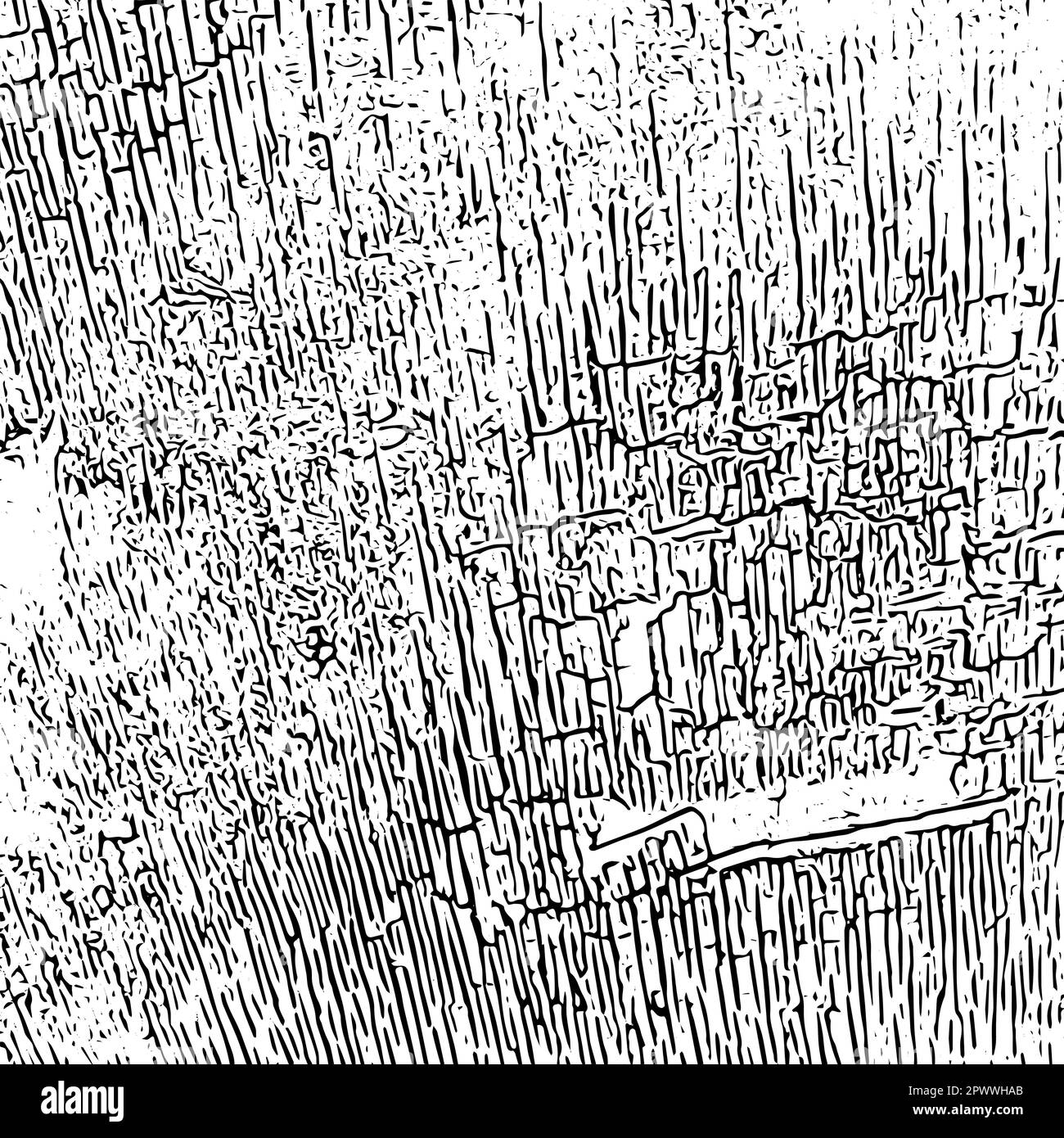 Design structure pattern of photographed burnt wood. Vector with black ...