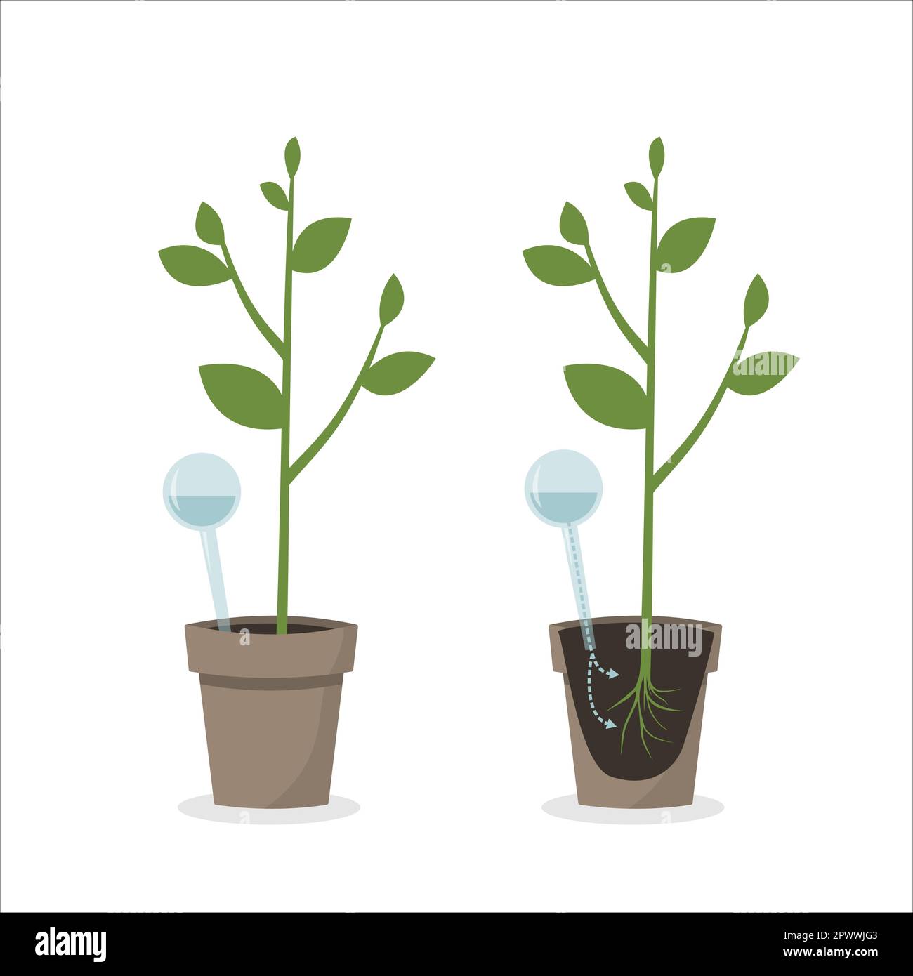 Cross section of flower pot Stock Vector Images - Alamy