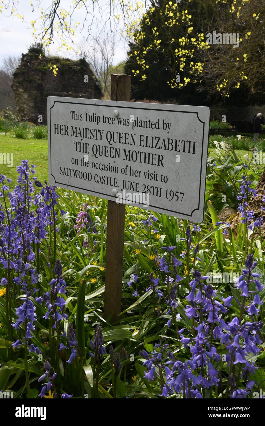 Tree planting plaque hi-res stock photography and images - Alamy