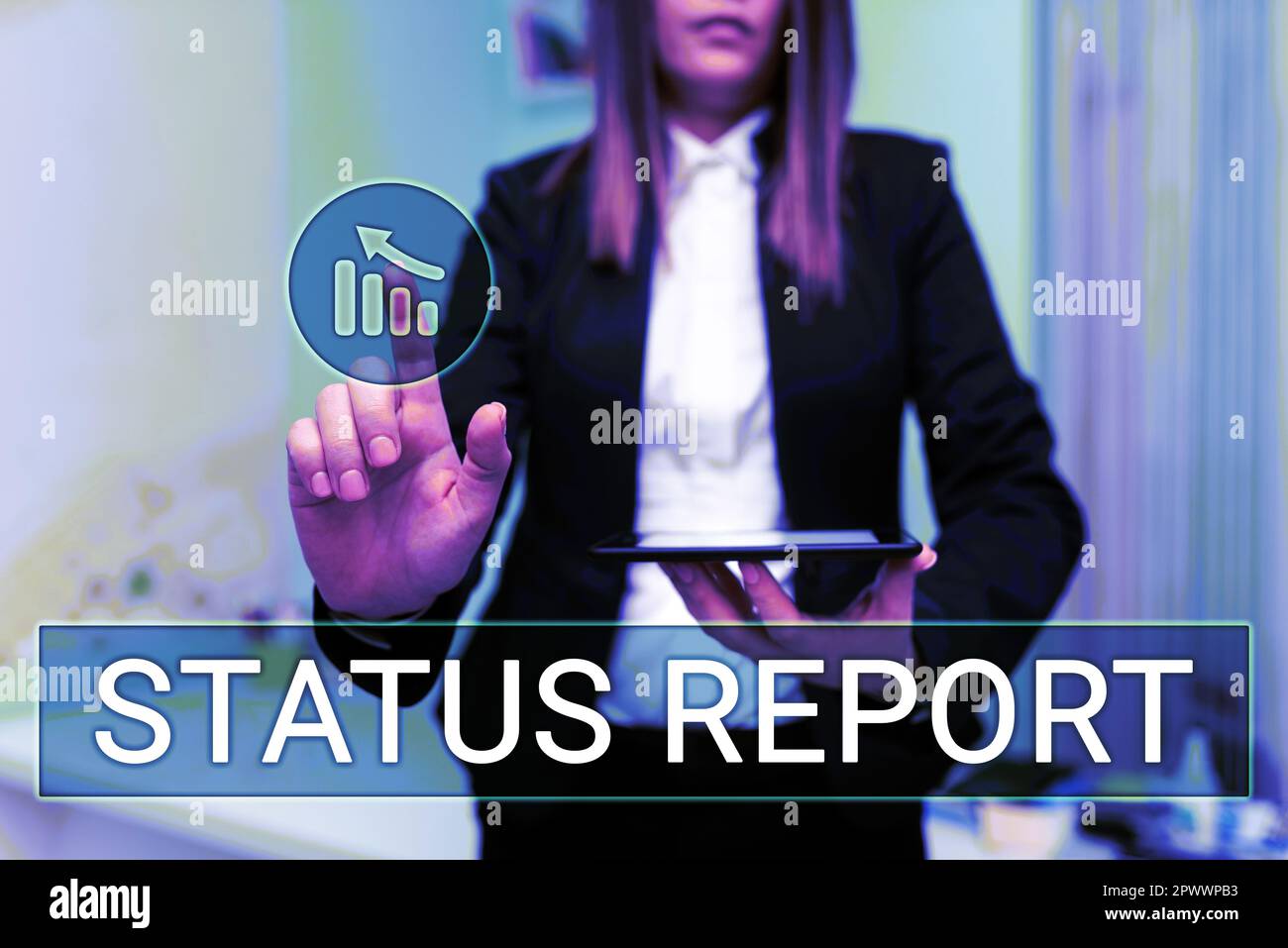 Conceptual display Status Report, Business showcase Update Summary of situations as of a period ...