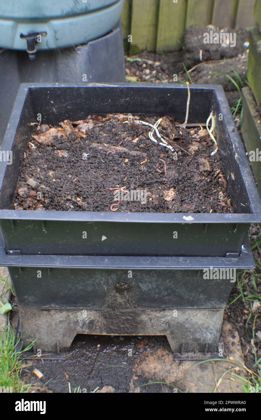 A close up of a females hands holding decaying vegetation and tiger ...