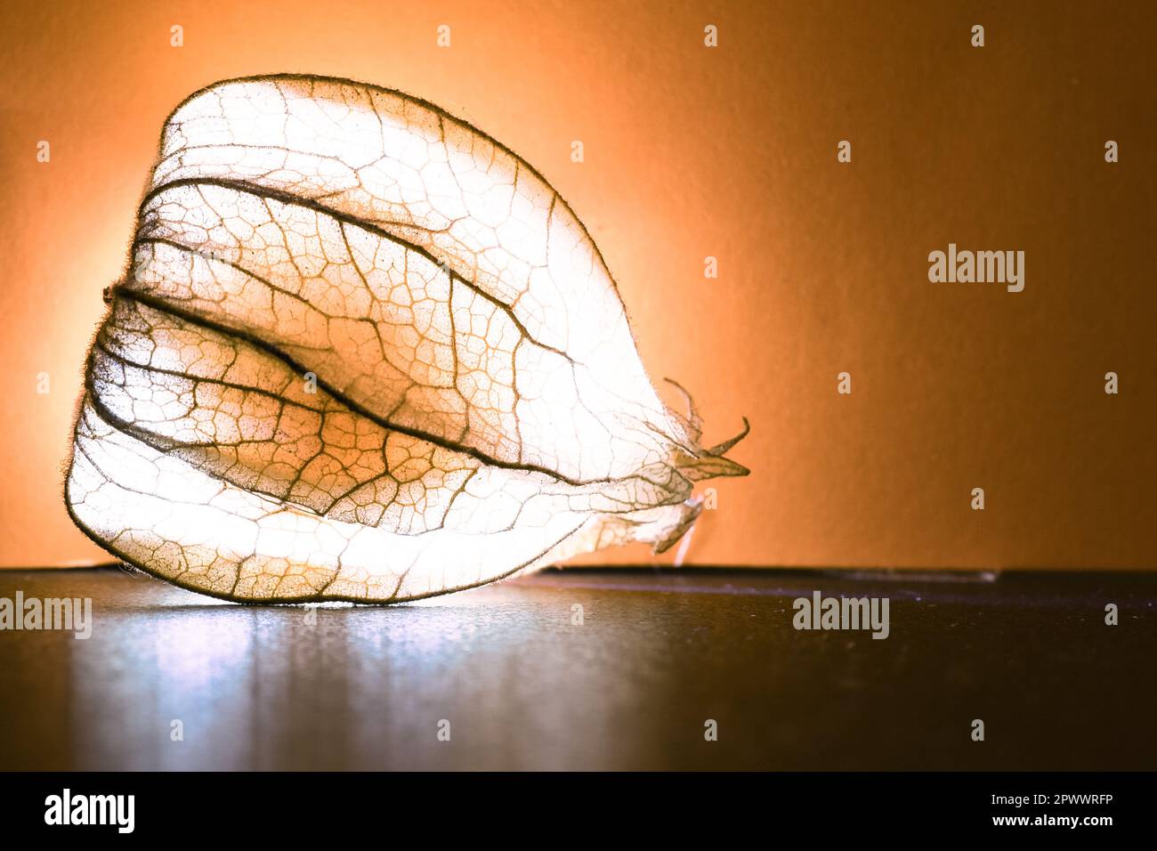 Light shines through chinese hi-res stock photography and images - Alamy