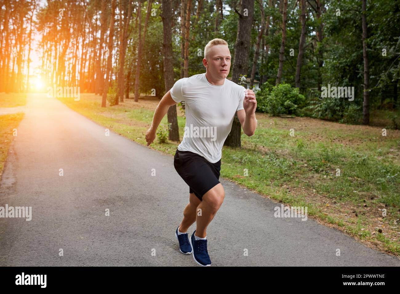 Run in the forest Stock Photo - Alamy