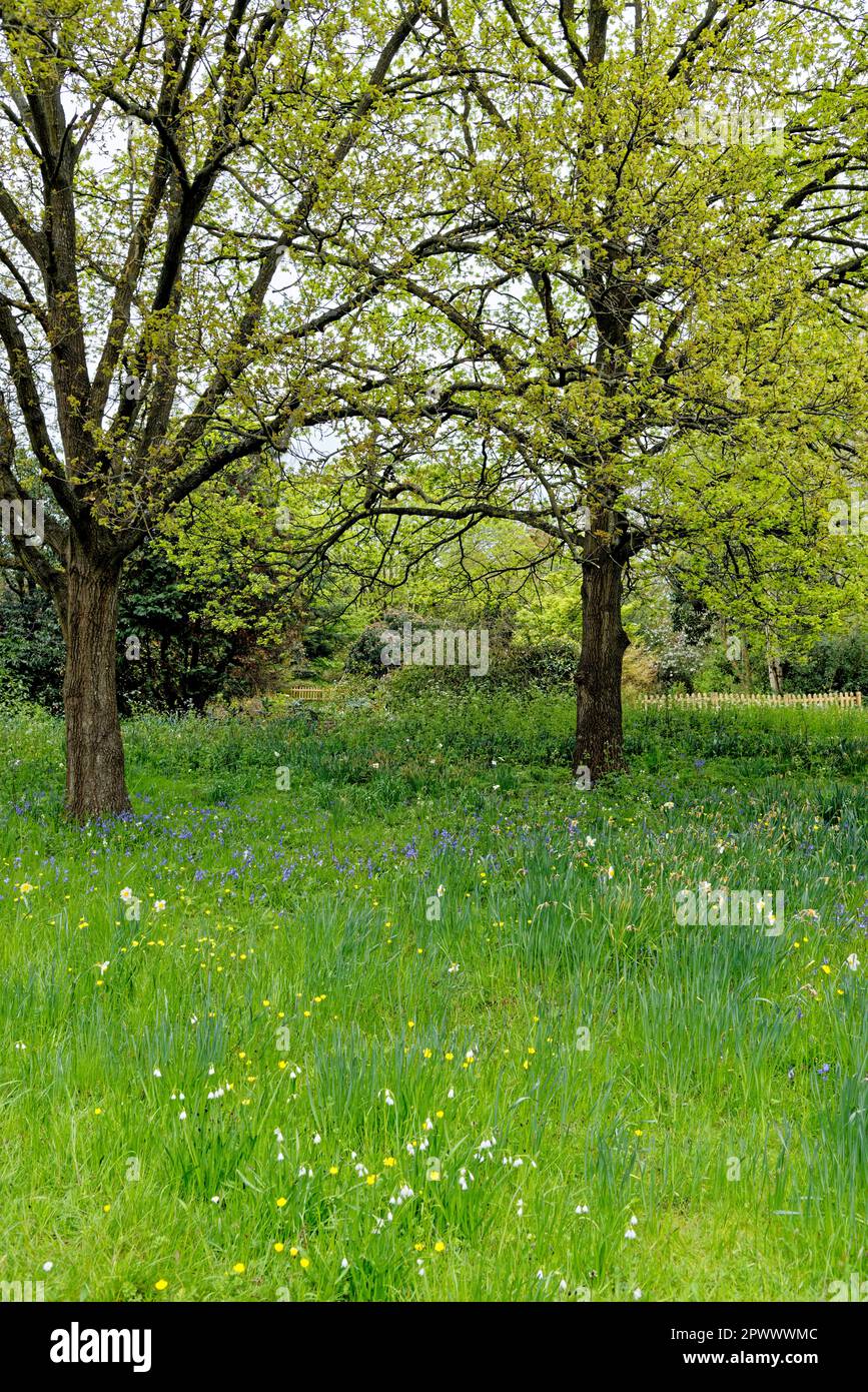 Beautiful spring landscape - Spring view over public park countryside ...
