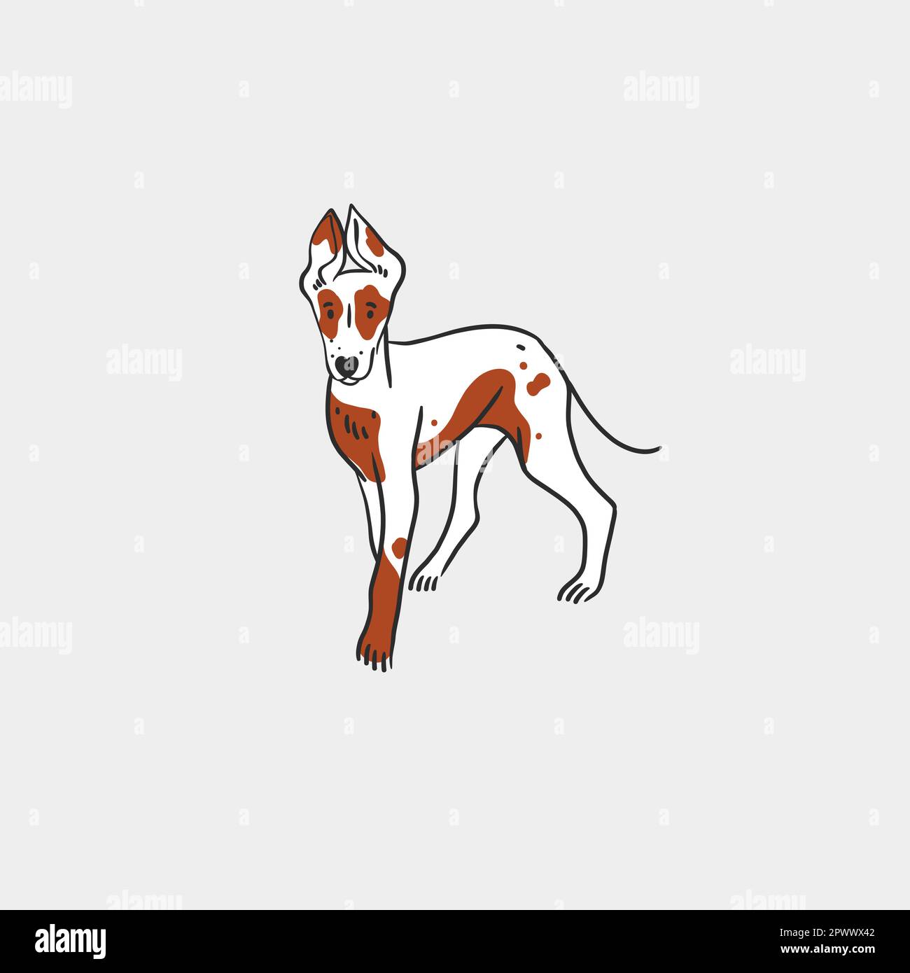 Hand drawn vector abstract graphic line art collection with diverse ...