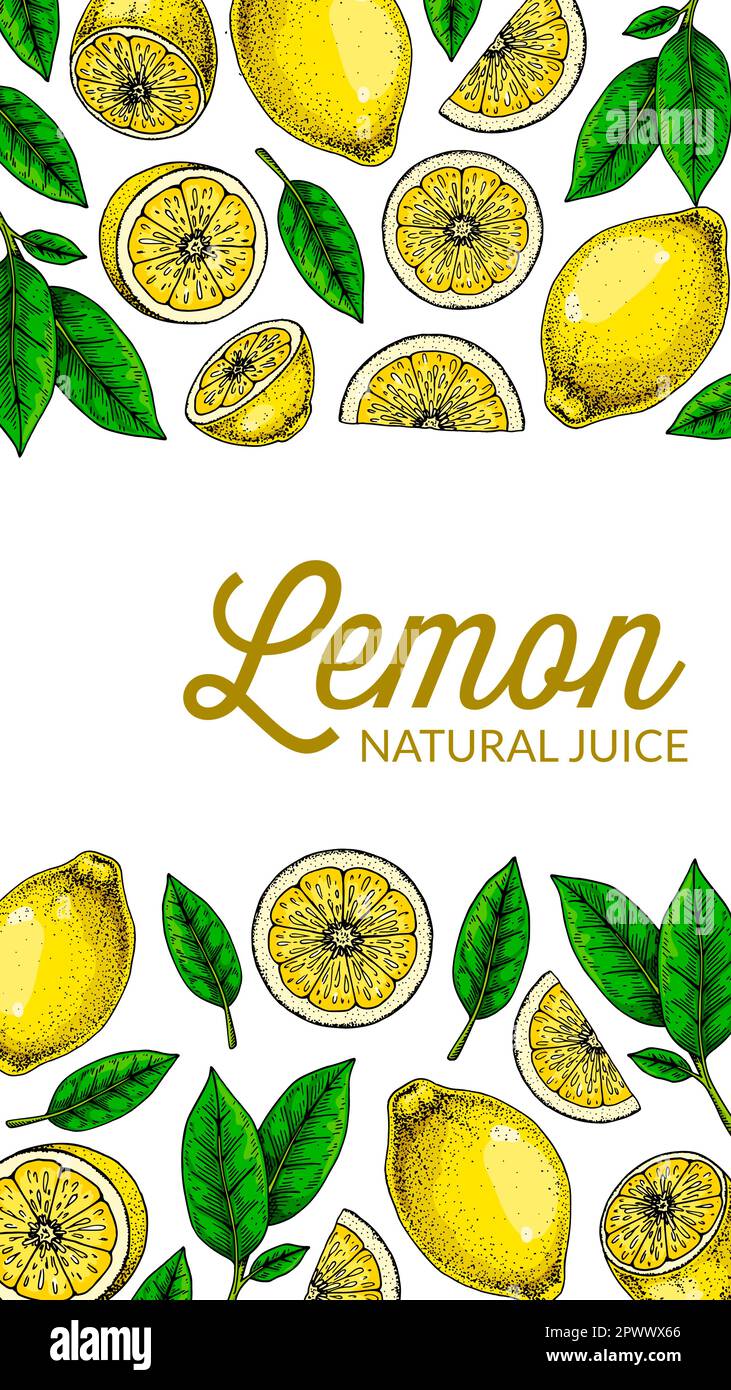 Vertical lemon background. Hand drawn colorful vector illustration in ...