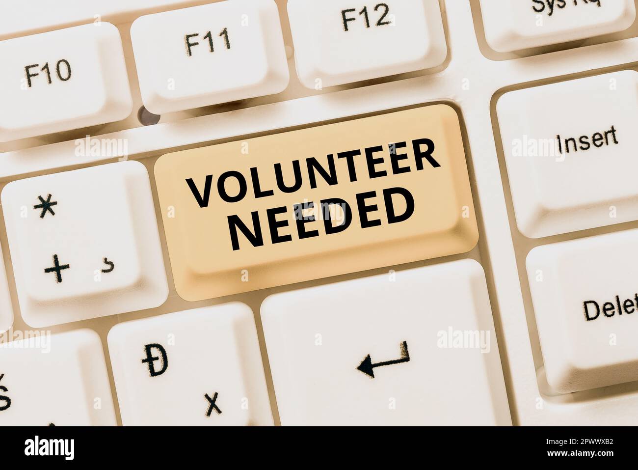 Writing displaying text Volunteer Needed, Business approach Looking for ... Writing displaying text Volunteer Needed, Business approach Looking for ...