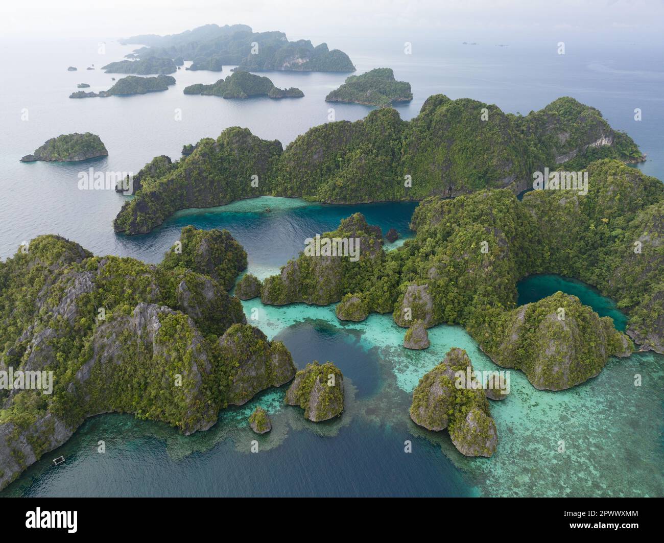 Biodiverse coral reefs surround the dramatic limestone islands that ...