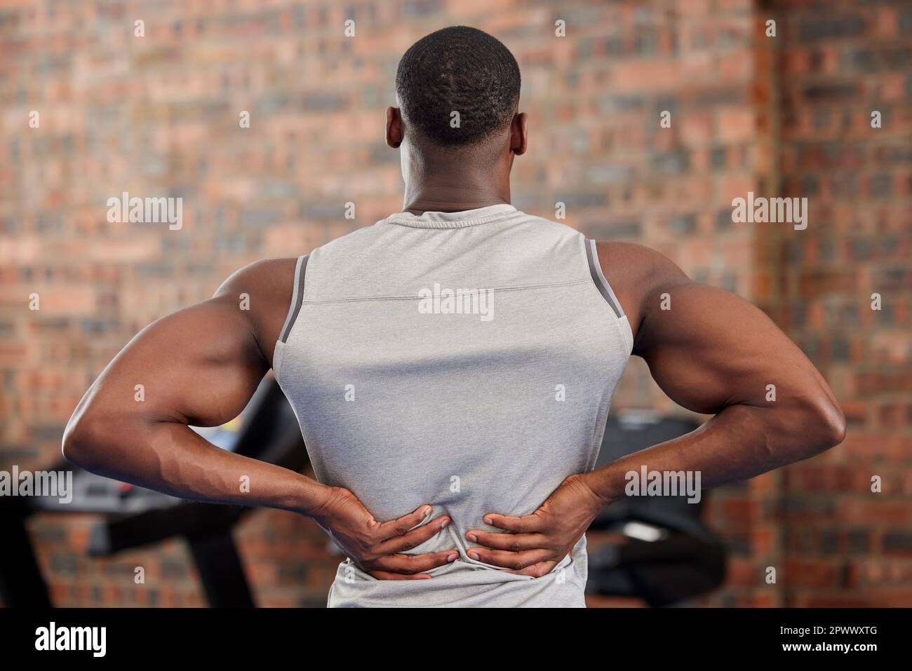 Male back body fitness anatomy hi-res stock photography and images - Alamy