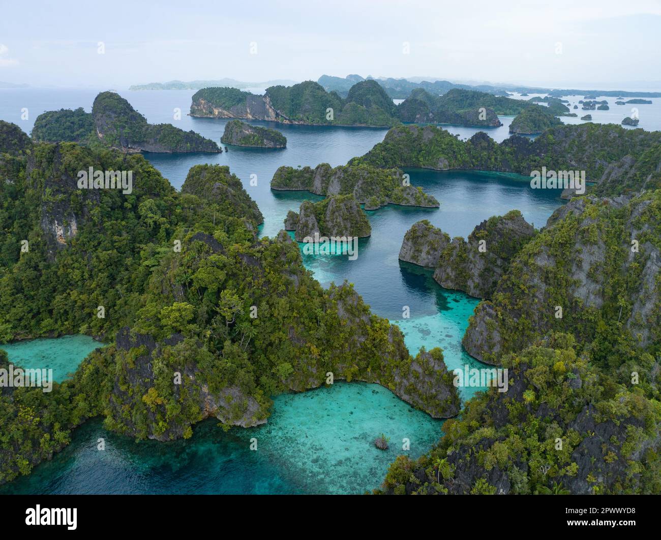 Biodiverse coral reefs surround the dramatic limestone islands that ...