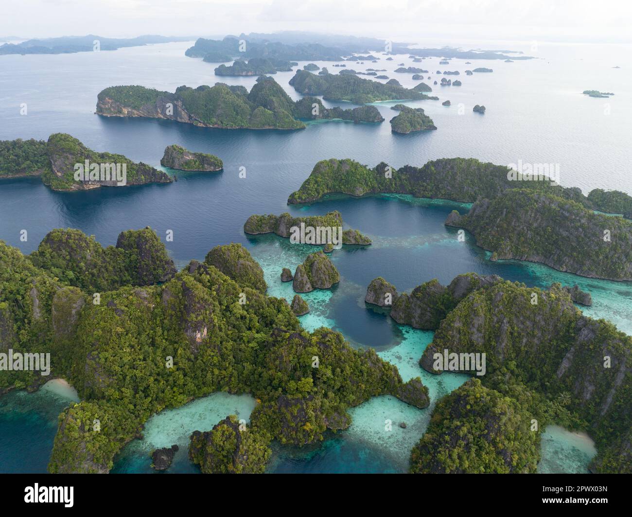 Uplifted Coral Reefs