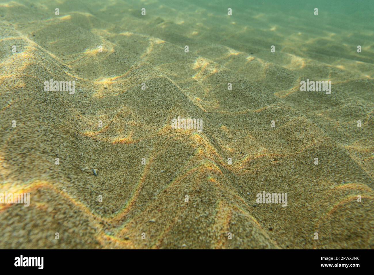 Underwater photo, sea bottom in shallow water, sun shining, light ...