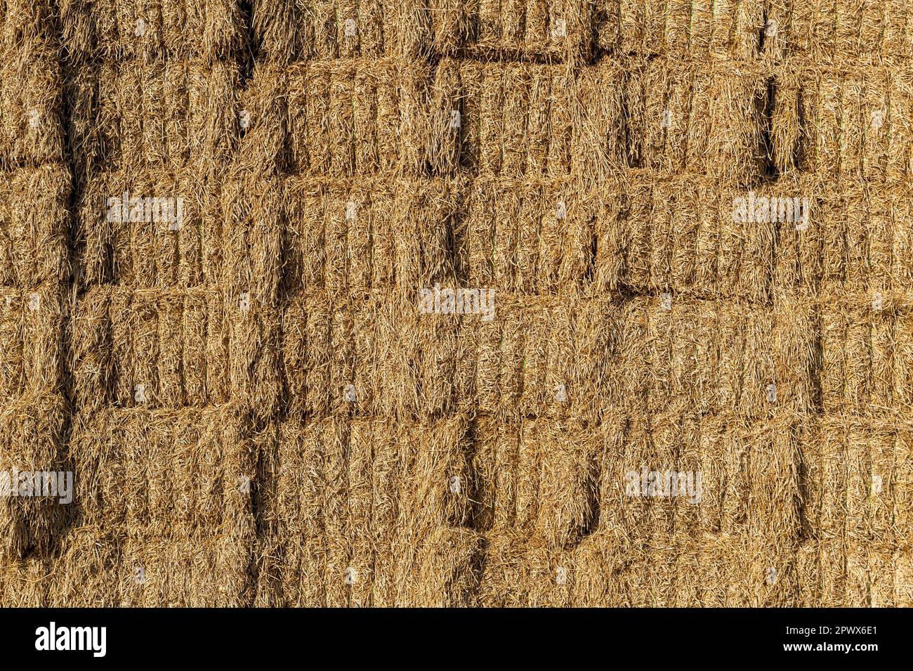 Detail view of a stack of pressed hay bale Stock Photo - Alamy