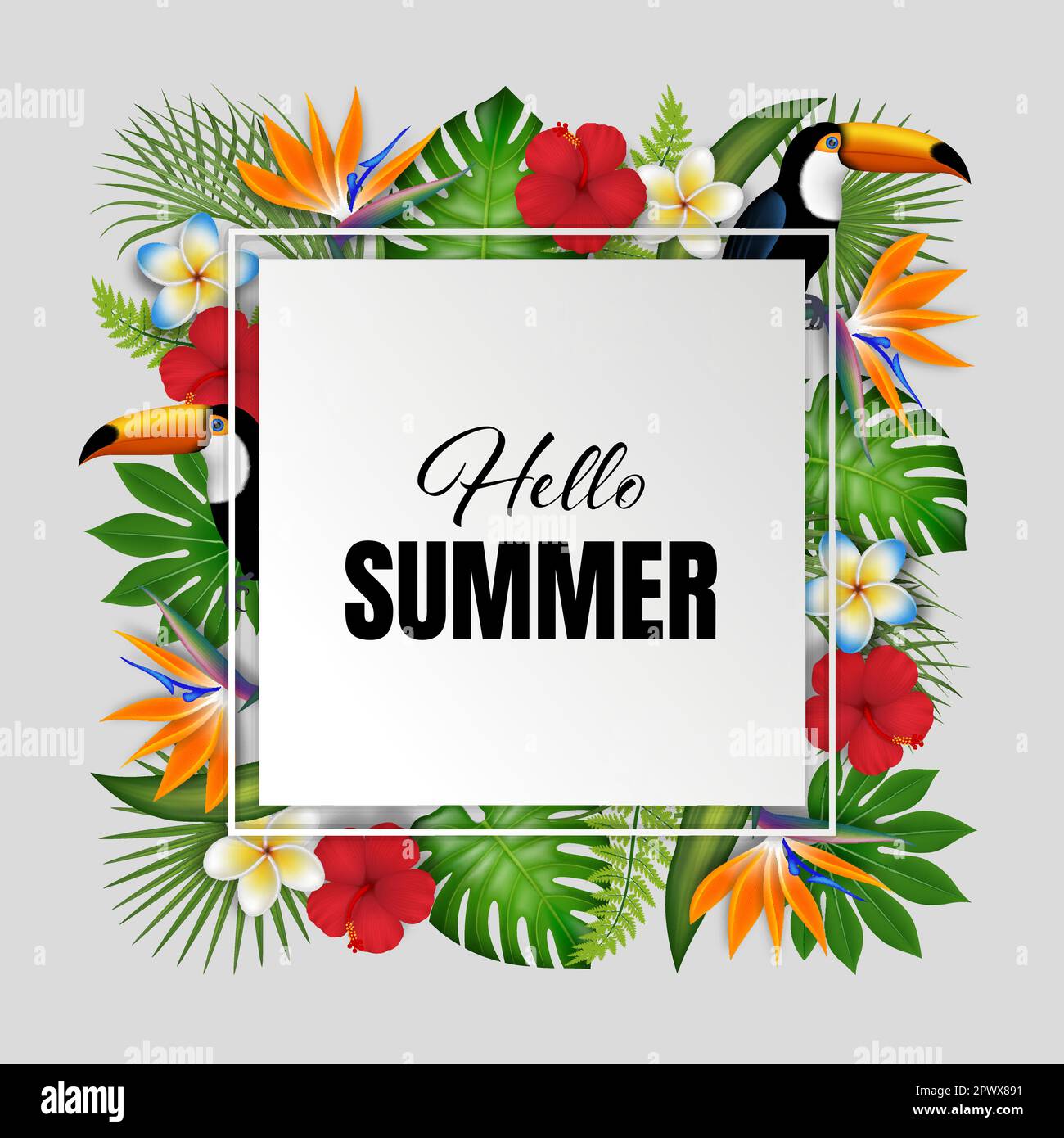 Summer background with colorful inflatables on pool water. Summer ...