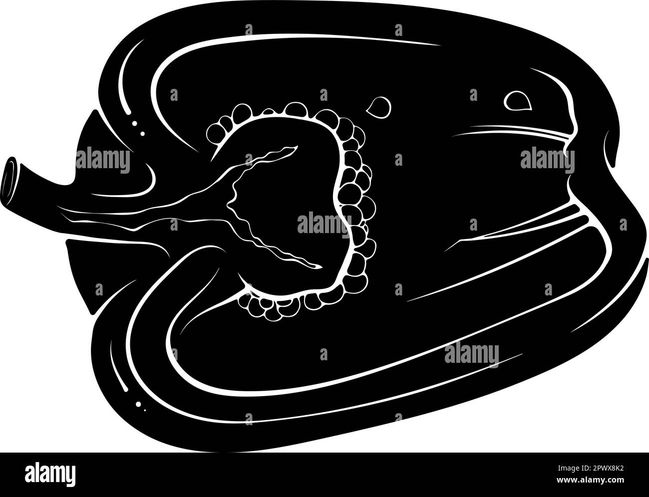 Red half bell pepper Stock Vector Images - Alamy