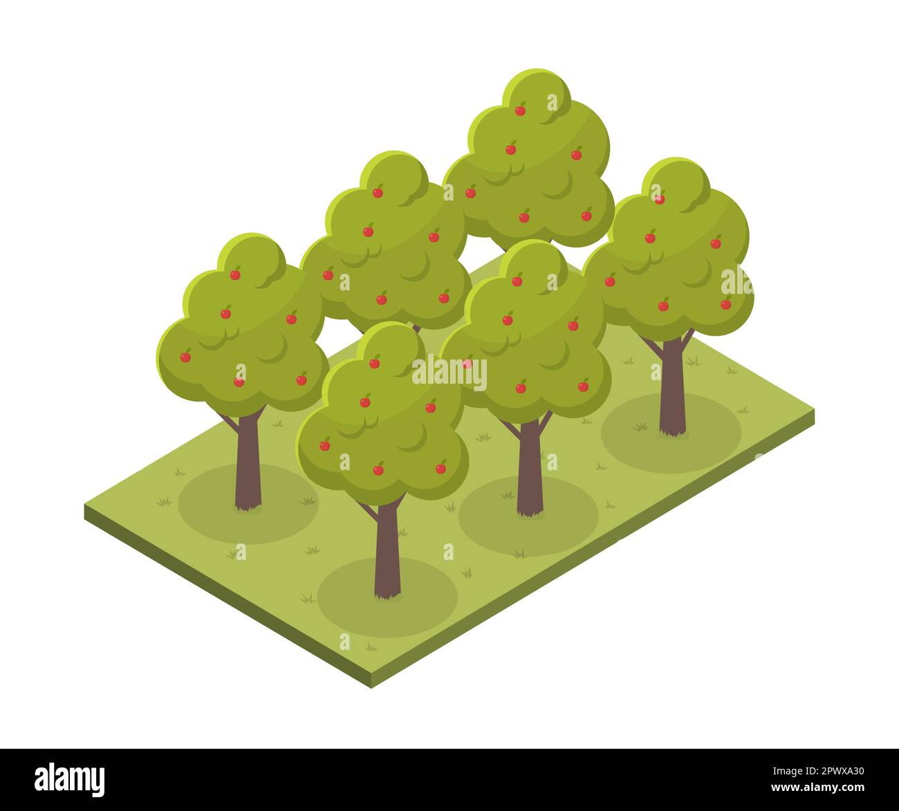Domestic garden apple tree Stock Vector Images - Alamy