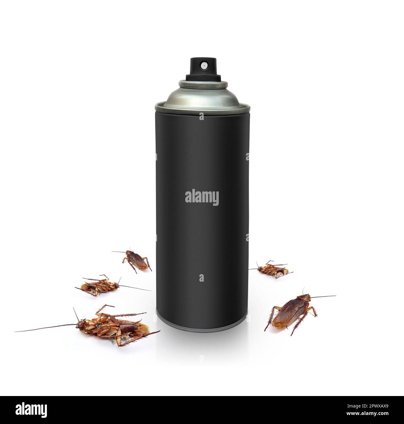 Spray, insecticide and cockroach isolated on white background Stock ...