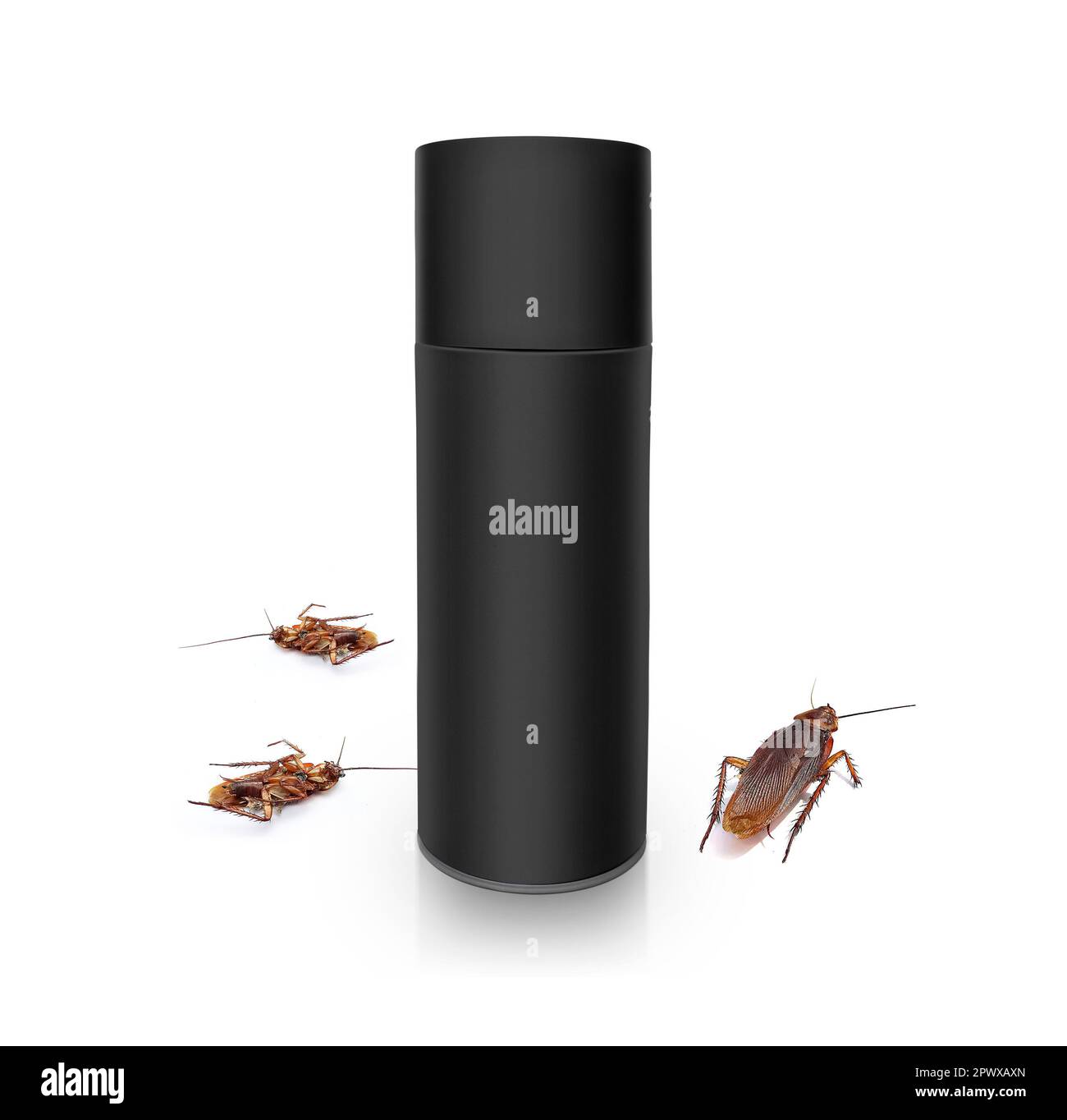 Spray, insecticide and cockroach isolated on white background Stock ...