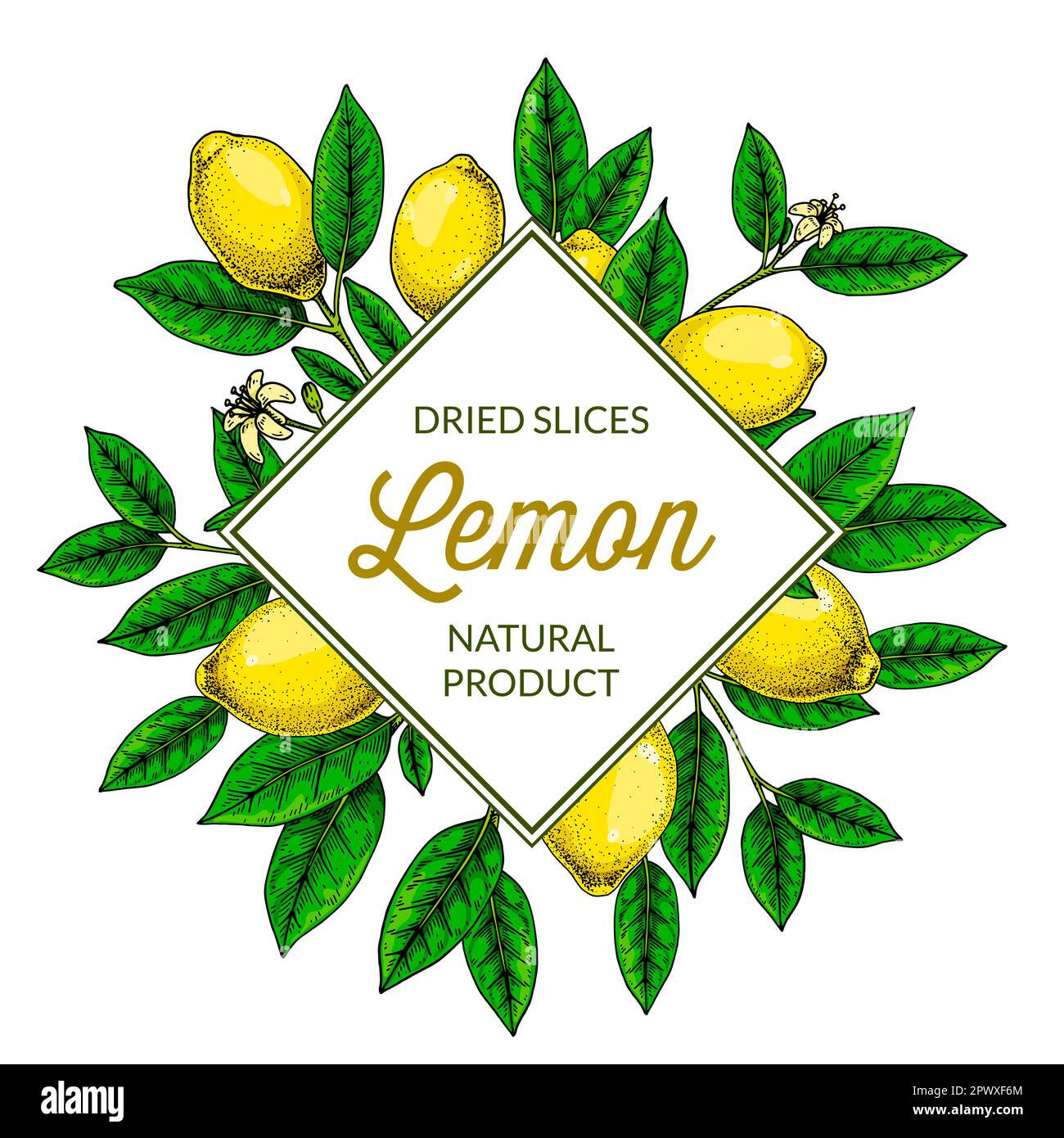 Square lemon frame. Hand drawn colorful vector illustration in sketch ...