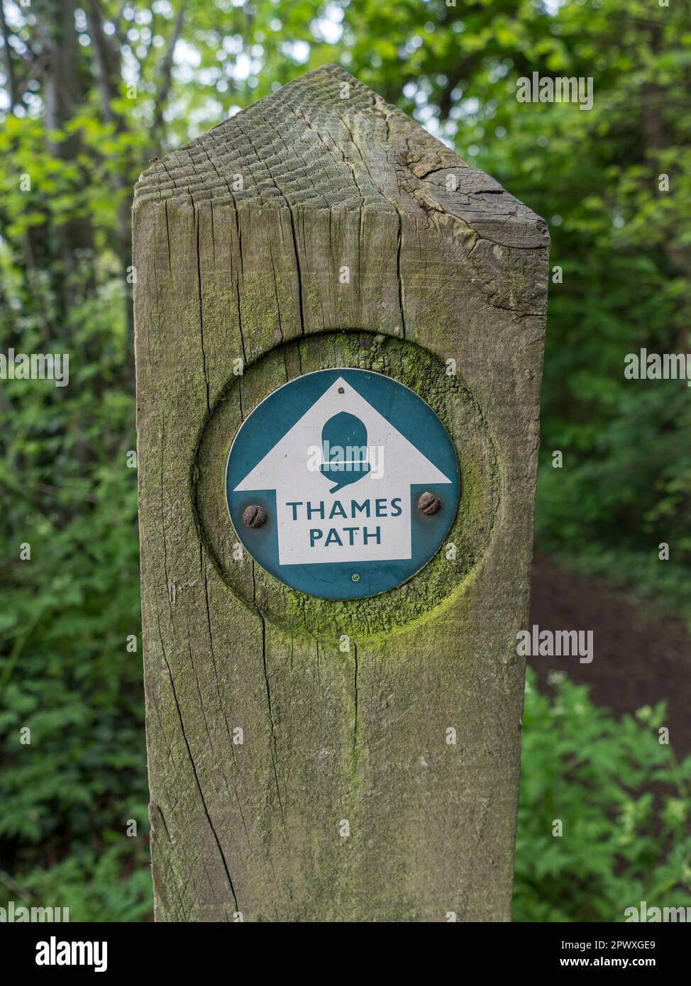 Sign for the Thames Path beside the River Thames in Walton-on-Thames ...