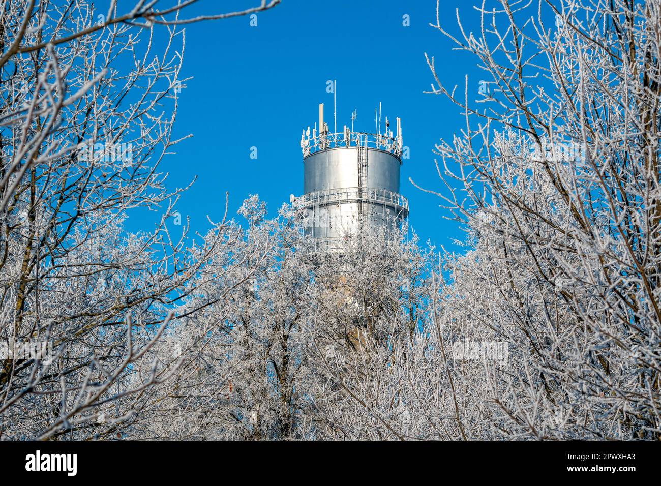 Water tower with communication antennas over a tree tops. Winter ...