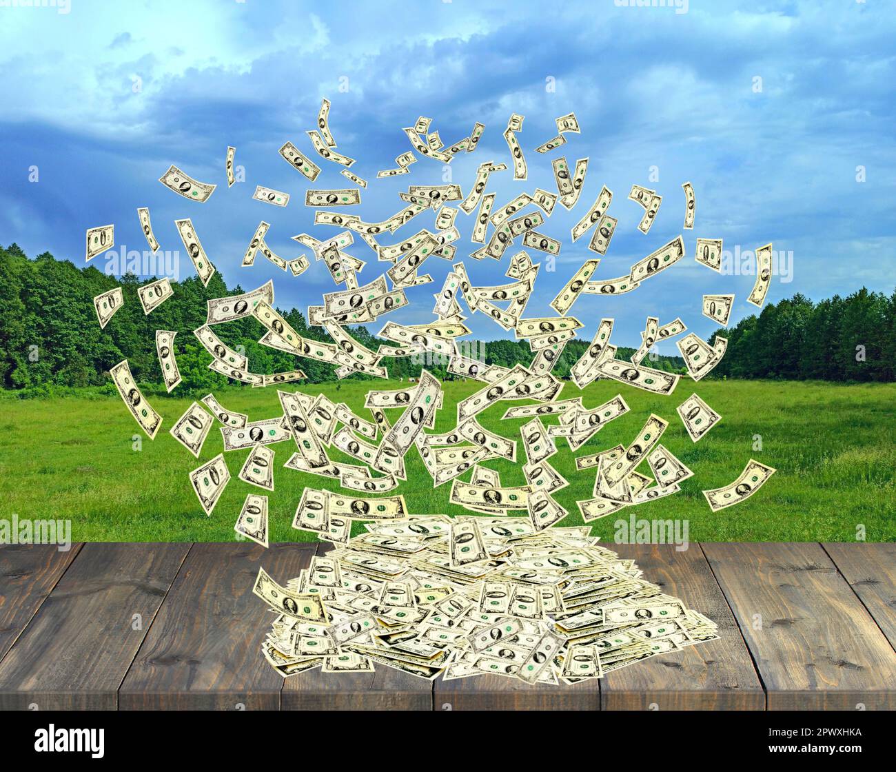 pile of dollars flying away in nature. Wind blowing bunch of dollars on ...