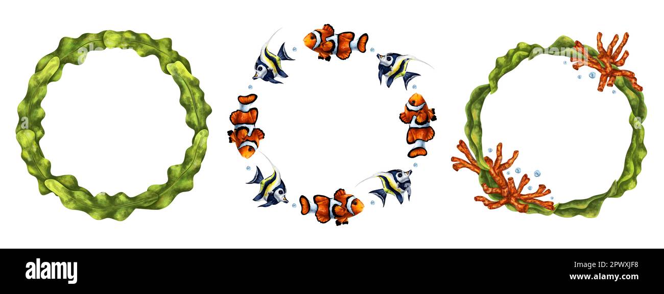 A set of round marine frames with green algae, red coral and colored ...