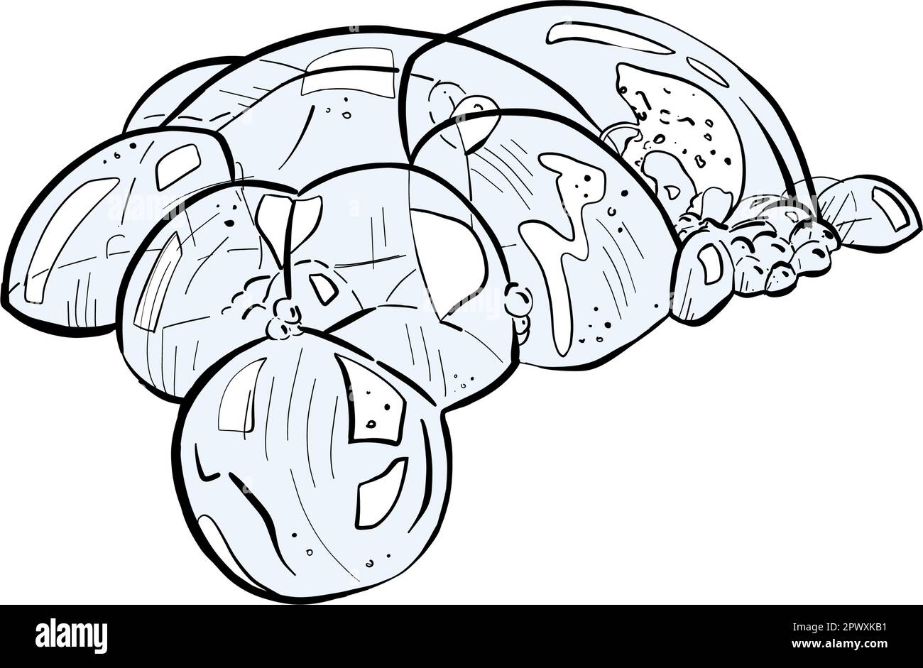 Vector illustration of liquid soap foam on white background. Black ...