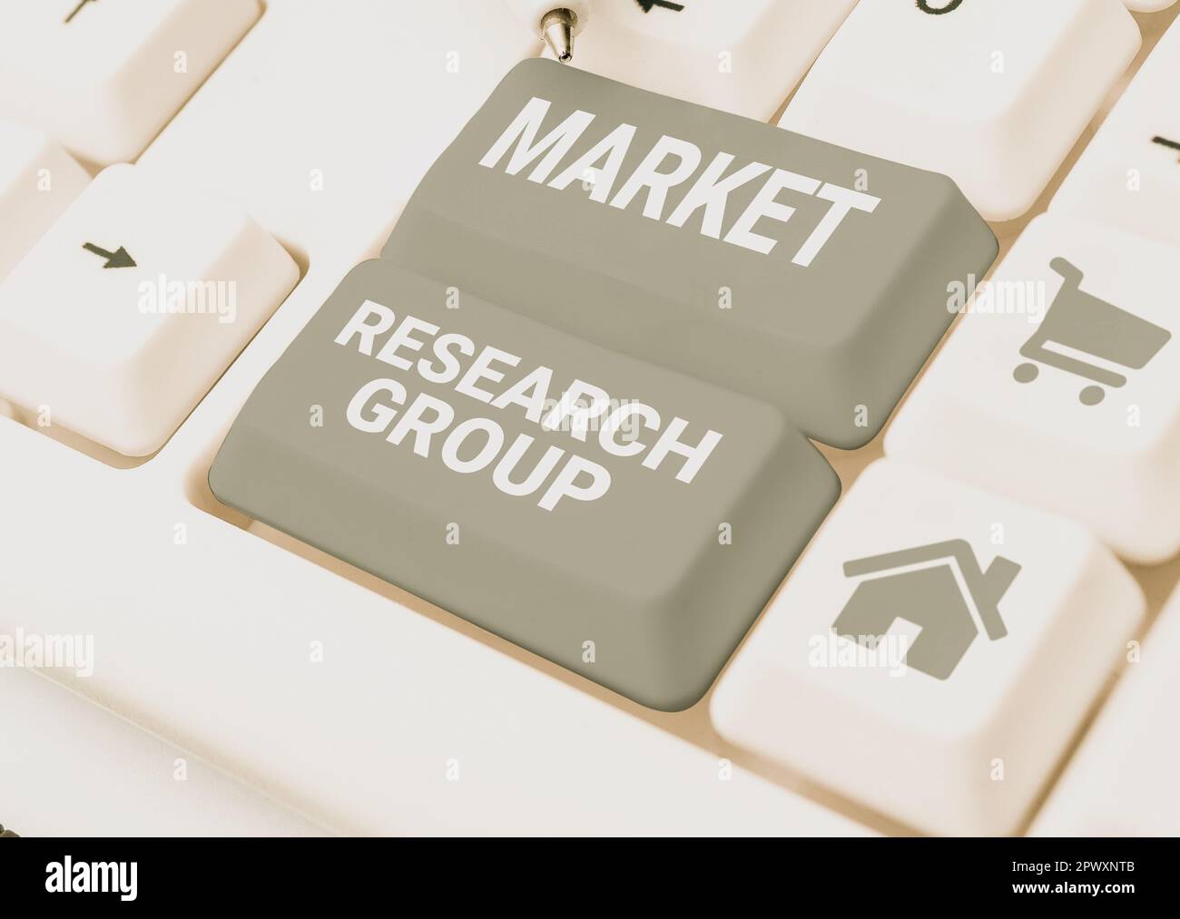 Text sign showing Market Research Group, Word Written on gather ...