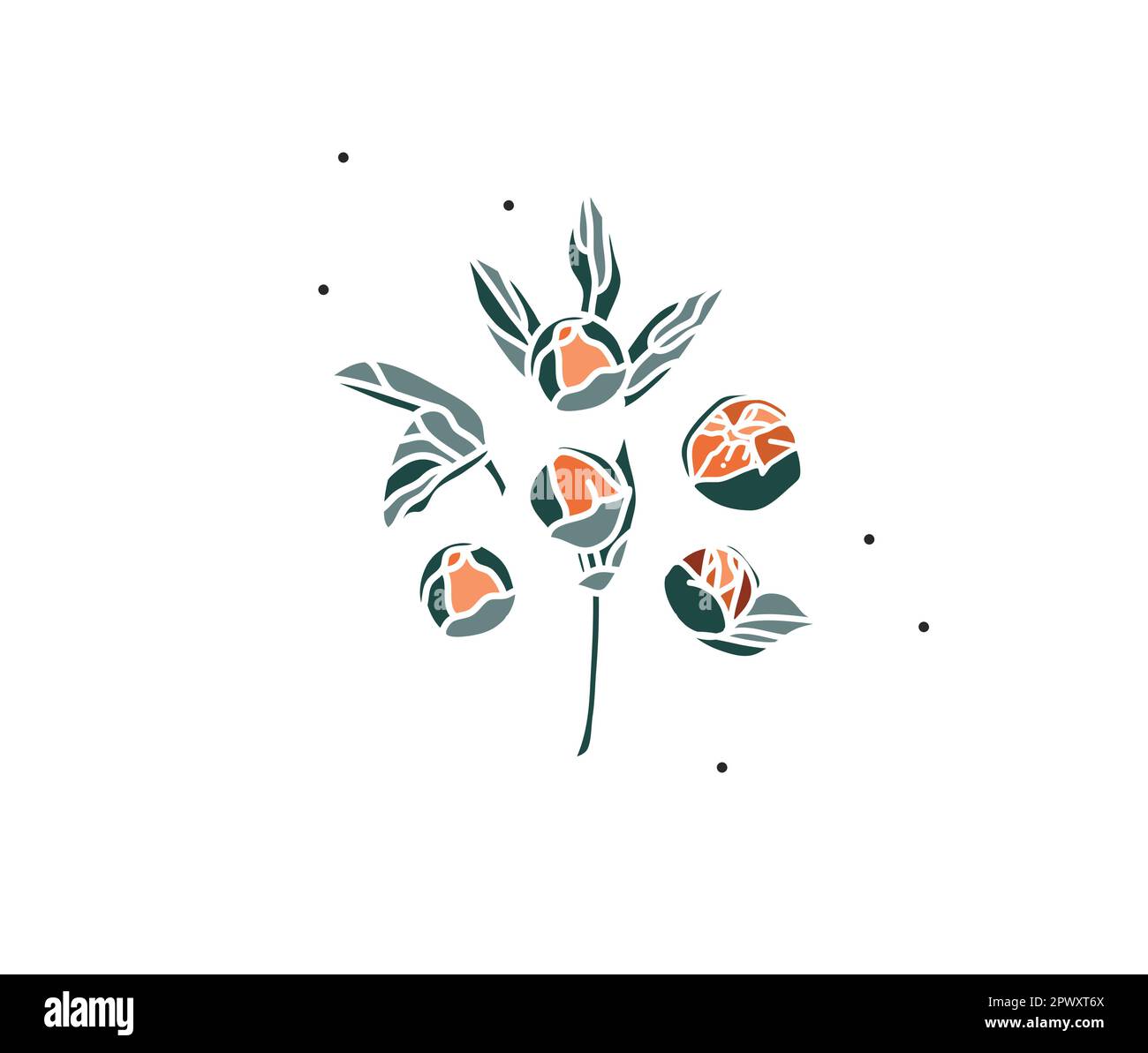 Hand drawn vector abstract graphic illustration set with elements of ...