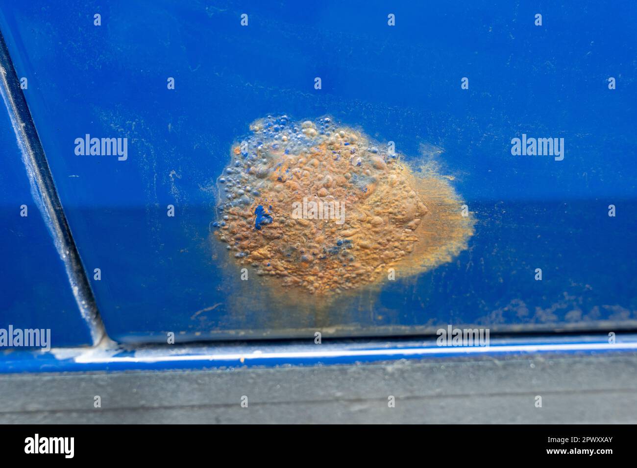 Rusted spot on blue car door. Large patch of rust bubbles Stock Photo ...